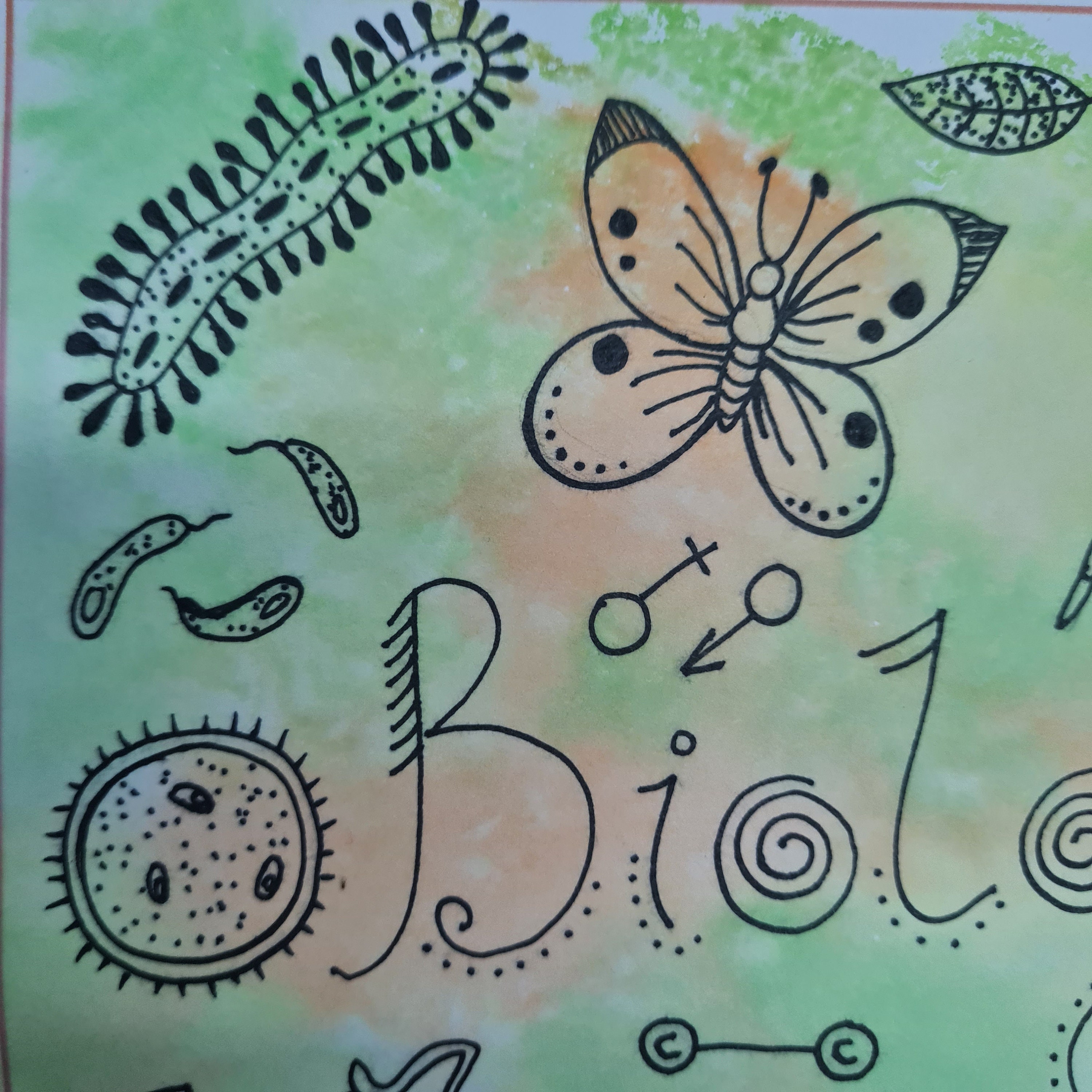 Drawing Tutorials for Beginners,how to Draw Biology Objects Easily ...