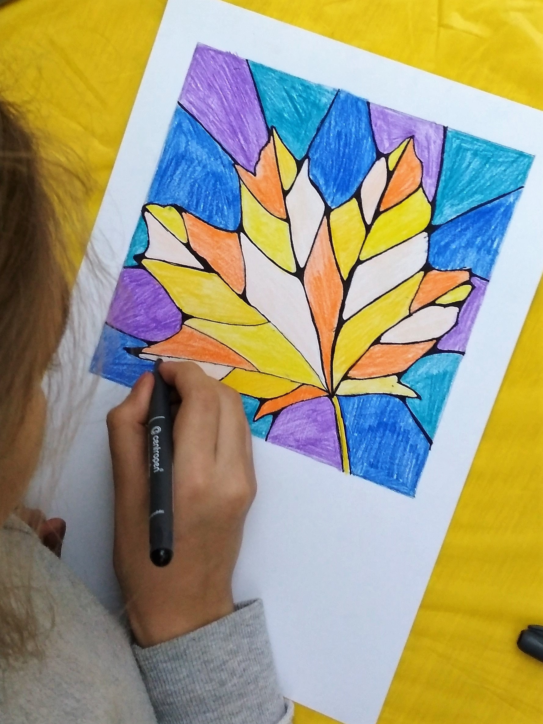 Maple Leaf Picture Kids Activity Pack Drawing Leaves Pencils Step by ...