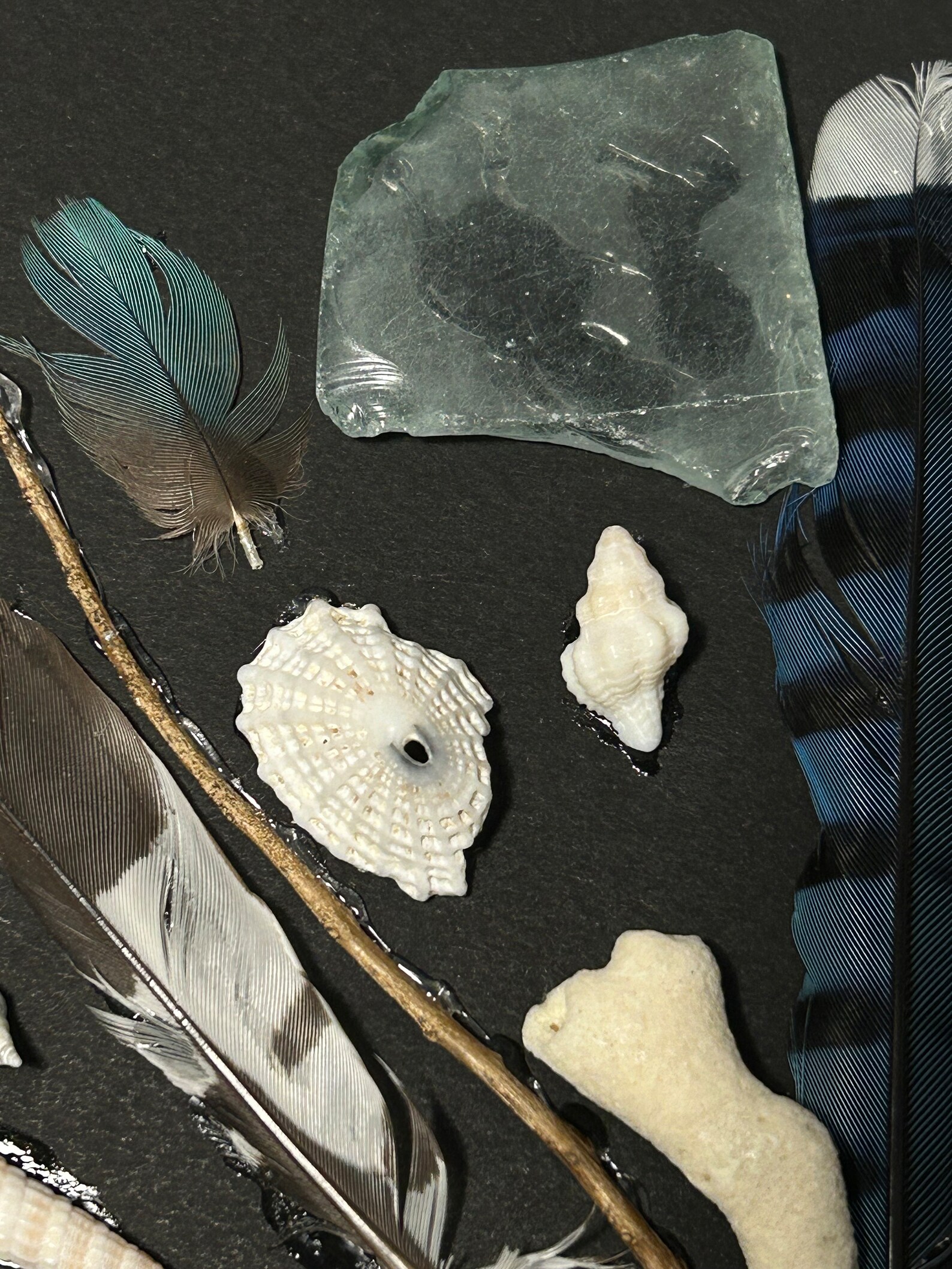 Feathers, Seaglass, and Driftwood Art Collage - Etsy