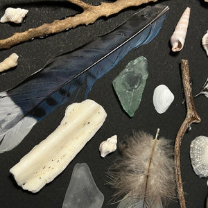 Feathers, Seaglass, and Driftwood Art Collage - Etsy