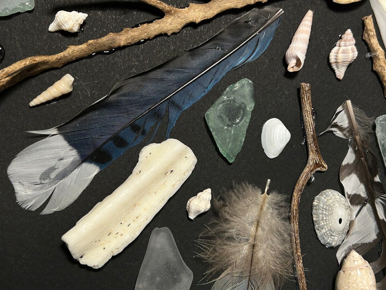 Feathers, Seaglass, and Driftwood Art Collage - Etsy