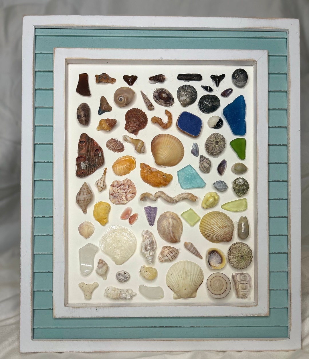 Rainbow Shell Collage - Etsy