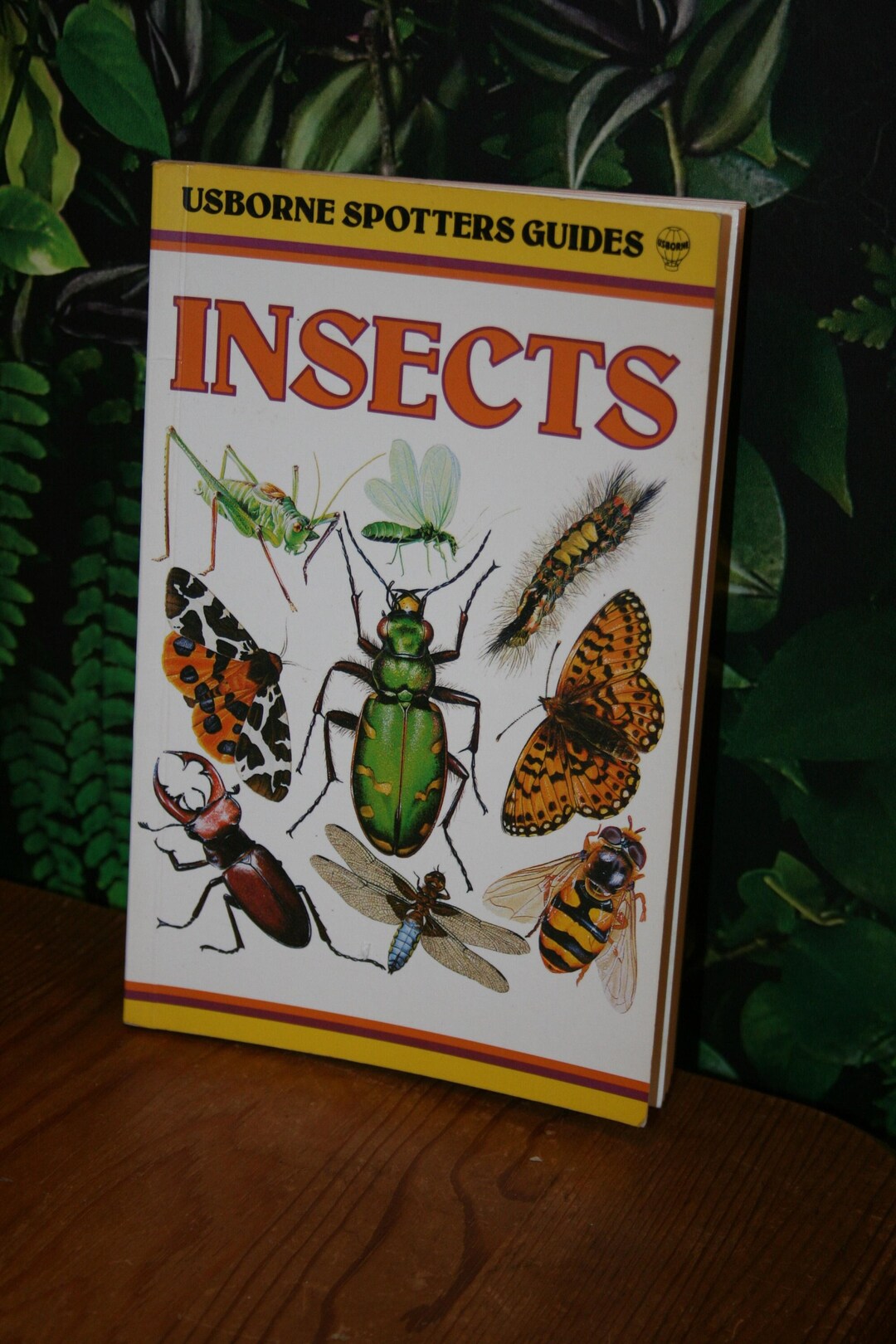 1979 Insects Usborne Spotters Guide Vintage Nature Book - Etsy