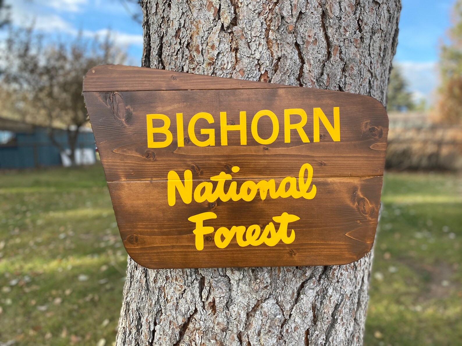 Custom National Forest Sign National Park Sign Forest - Etsy