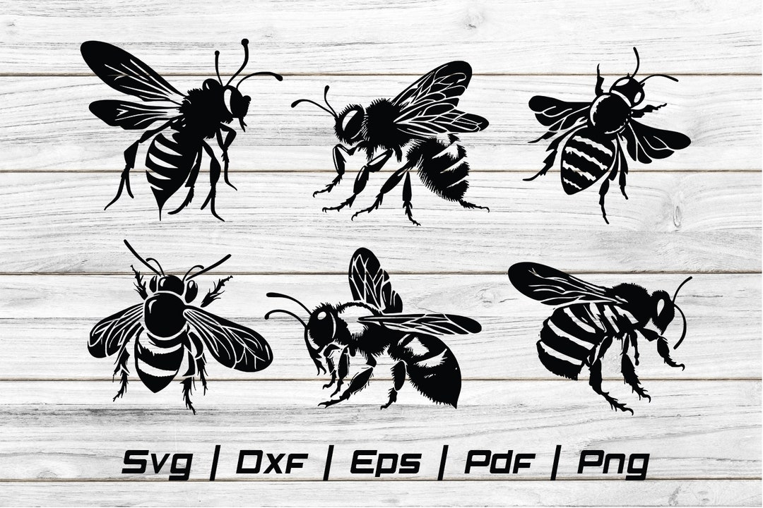 Bee , Bee Fly , Queen Bee ,honeycomb ,honey , Bee Svg ,bee Cut File ...