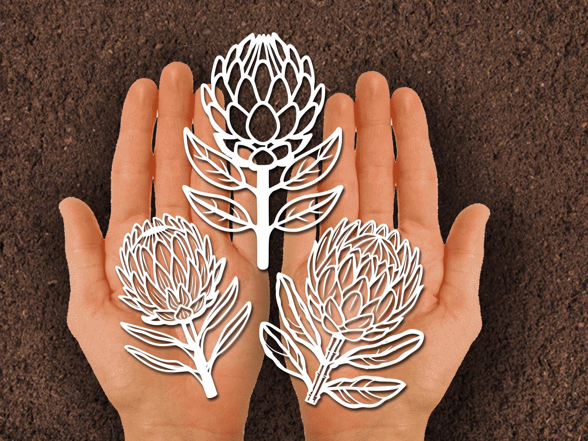Protea Flower SVG Bundle: Cricut & Silhouette Cut Files (digital ...