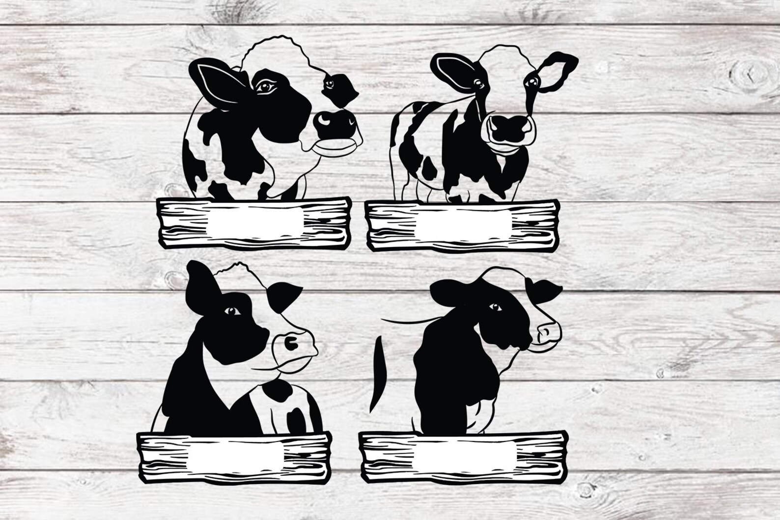 Cow cow Family cow Mother cattle cow Head cow Svg cow - Etsy