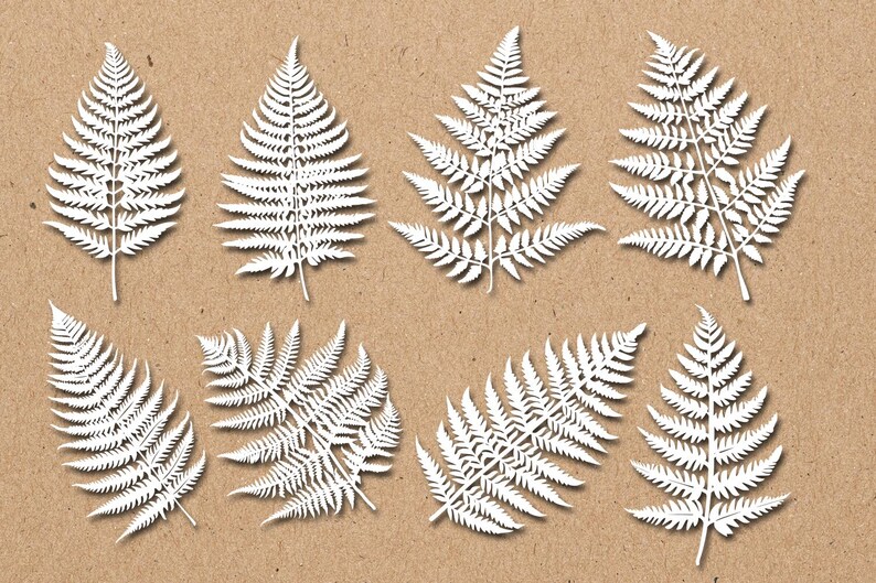 Tropical Fern Leaf SVG Bundle: Vector Cut File Clipart (digital ...