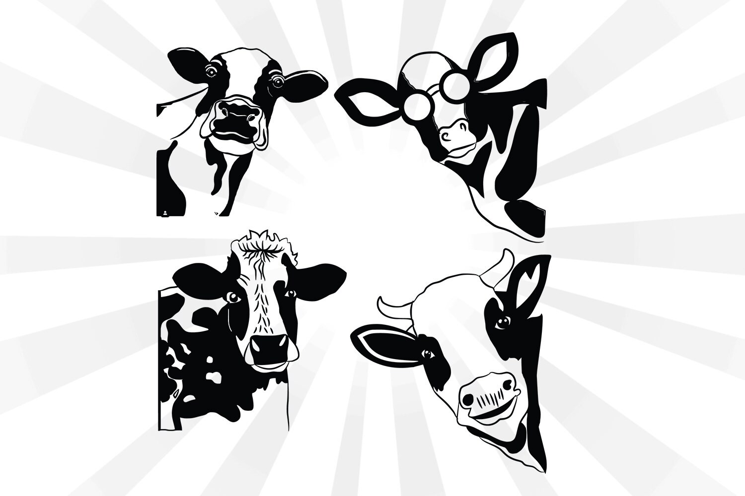 Cow cow Family cow Mother cattle cow Head cow Svg cow - Etsy