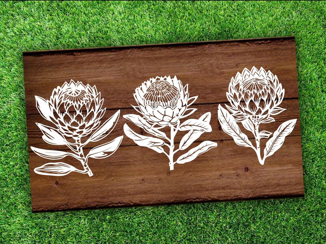 Protea Flower Svg Bundle, Protea Flower Vector Cut File Clipart ...