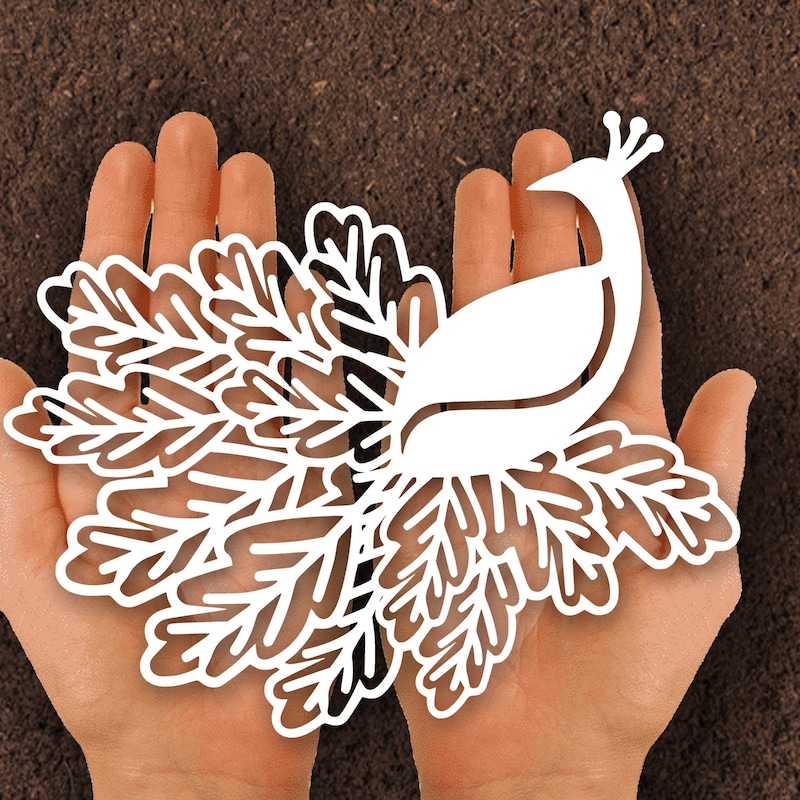 Papercut Feather - Etsy