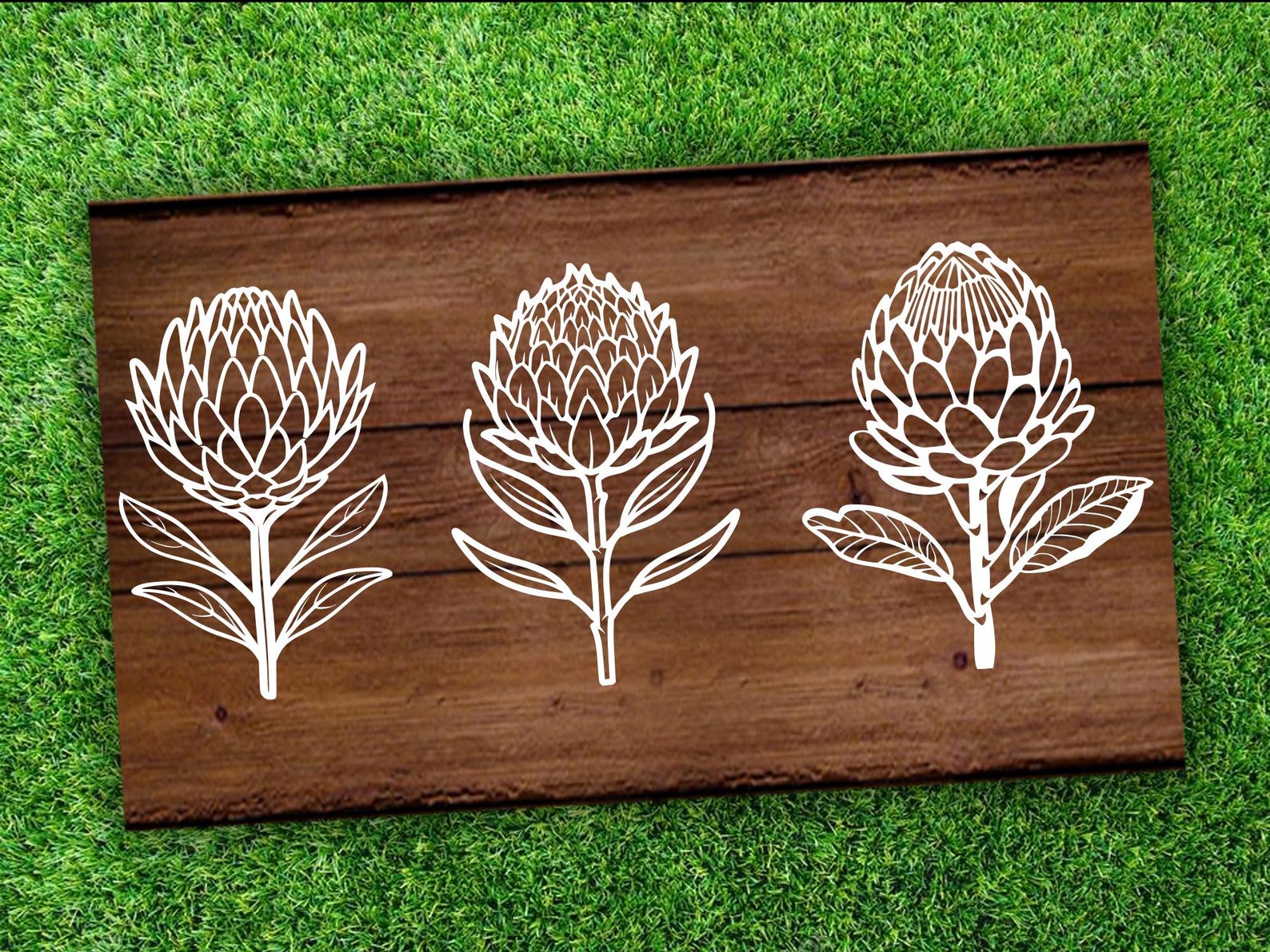 Protea Flower SVG Bundle: Cricut & Silhouette Cut Files (digital ...