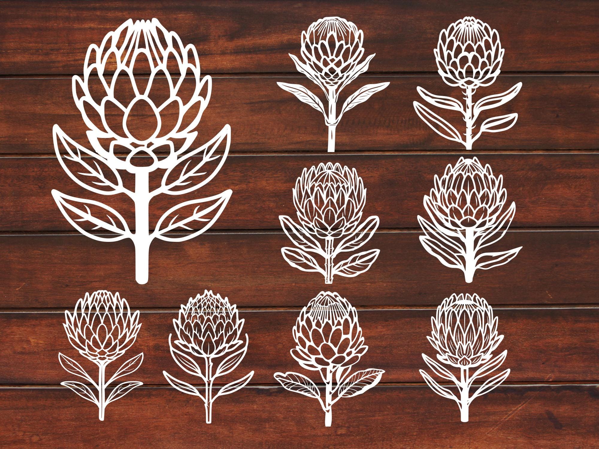 Protea Flower SVG Bundle: Cricut & Silhouette Cut Files (digital ...