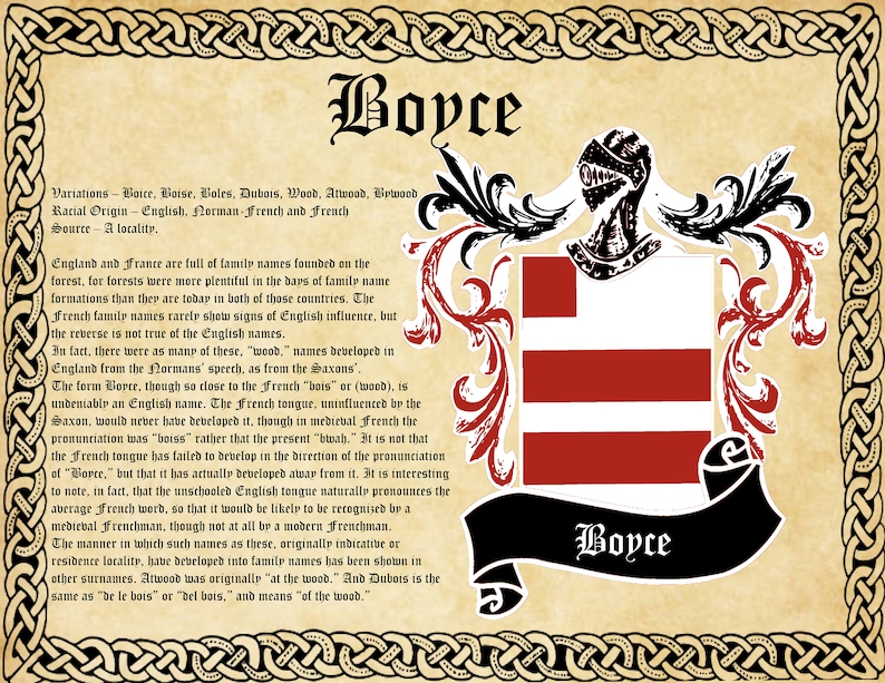 Boyce Family History and Coat of Arms Vintage Poster - Etsy