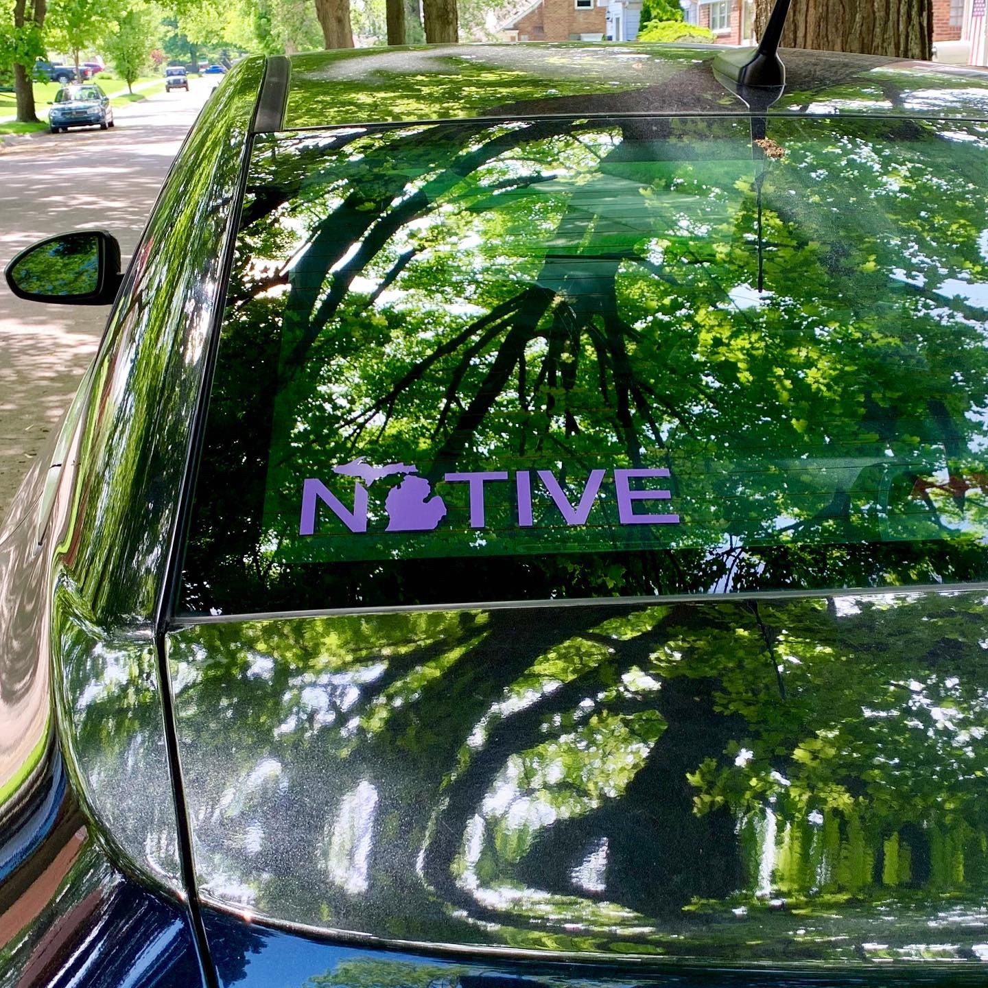 Michigan Native Car Decal Native Michigan Michigan Car | Etsy