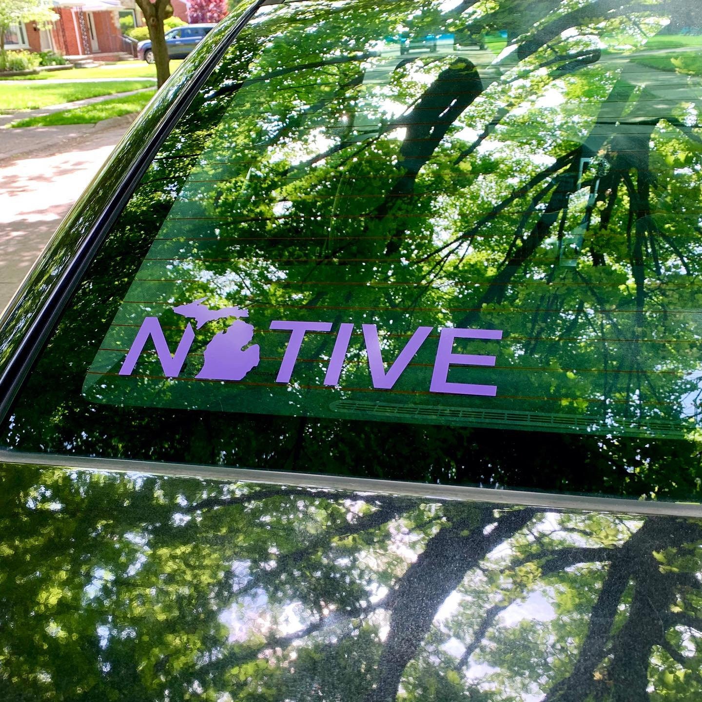 Michigan Native Car Decal Native Michigan Michigan Car | Etsy