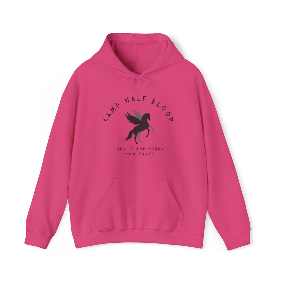 Percy Jackson Camp Half Blood Cabin 18 (hebe) Heavy Blend Hooded ...
