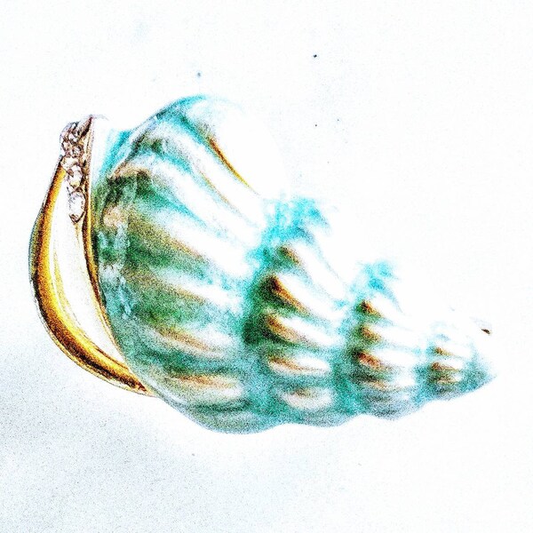 Seashell Brooch - Etsy