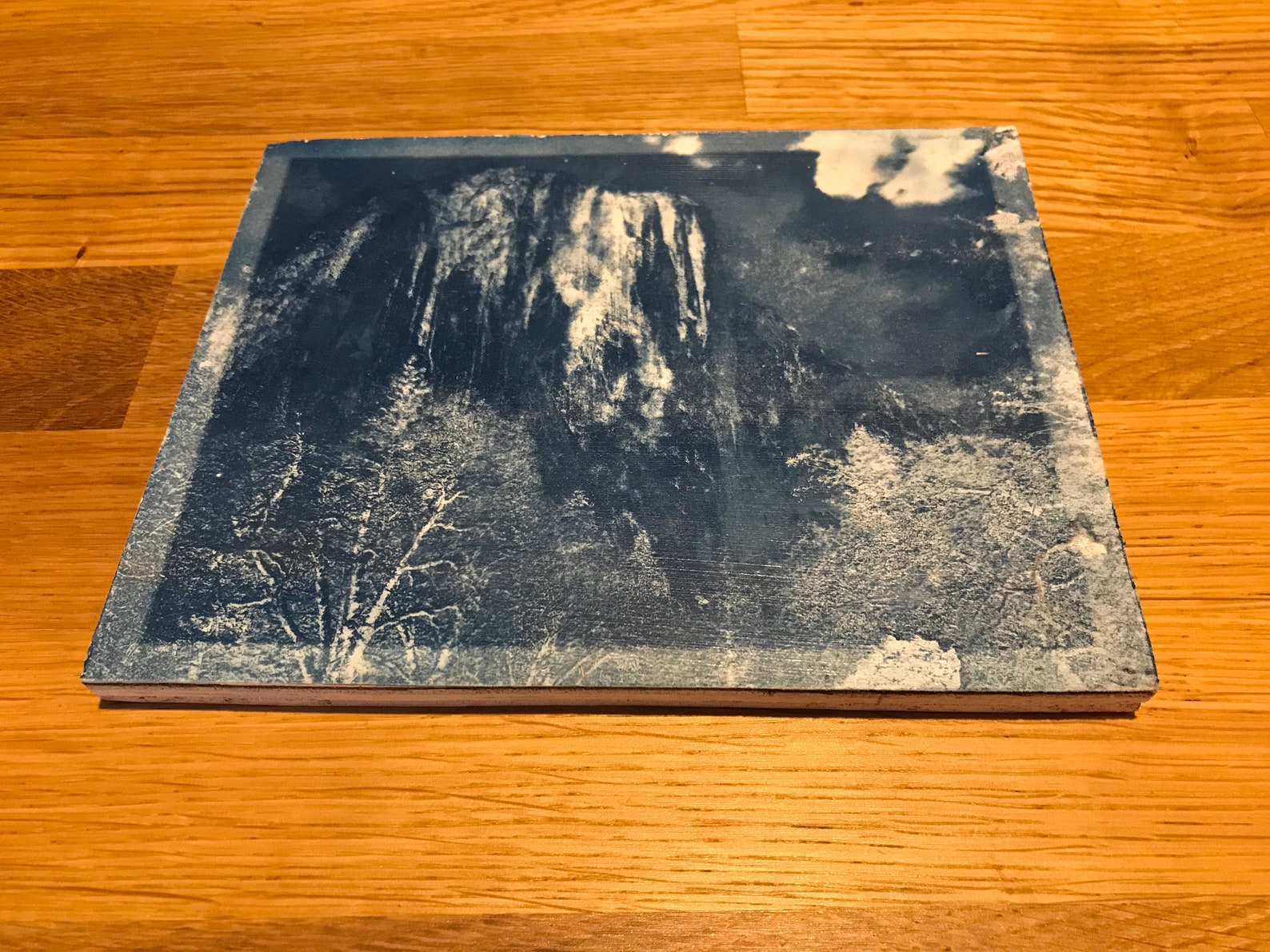Cyanotype Image Printed on Wood. Ready to Hang - Etsy
