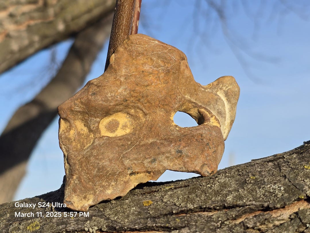 Witches Stone - Odin Stones - Fairystone - Adderstone - Hagstone ...