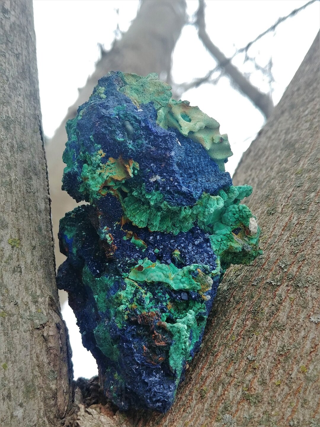 Azurite Malachite Crystal Cluster – Mineral Display Specimen, Mina ...