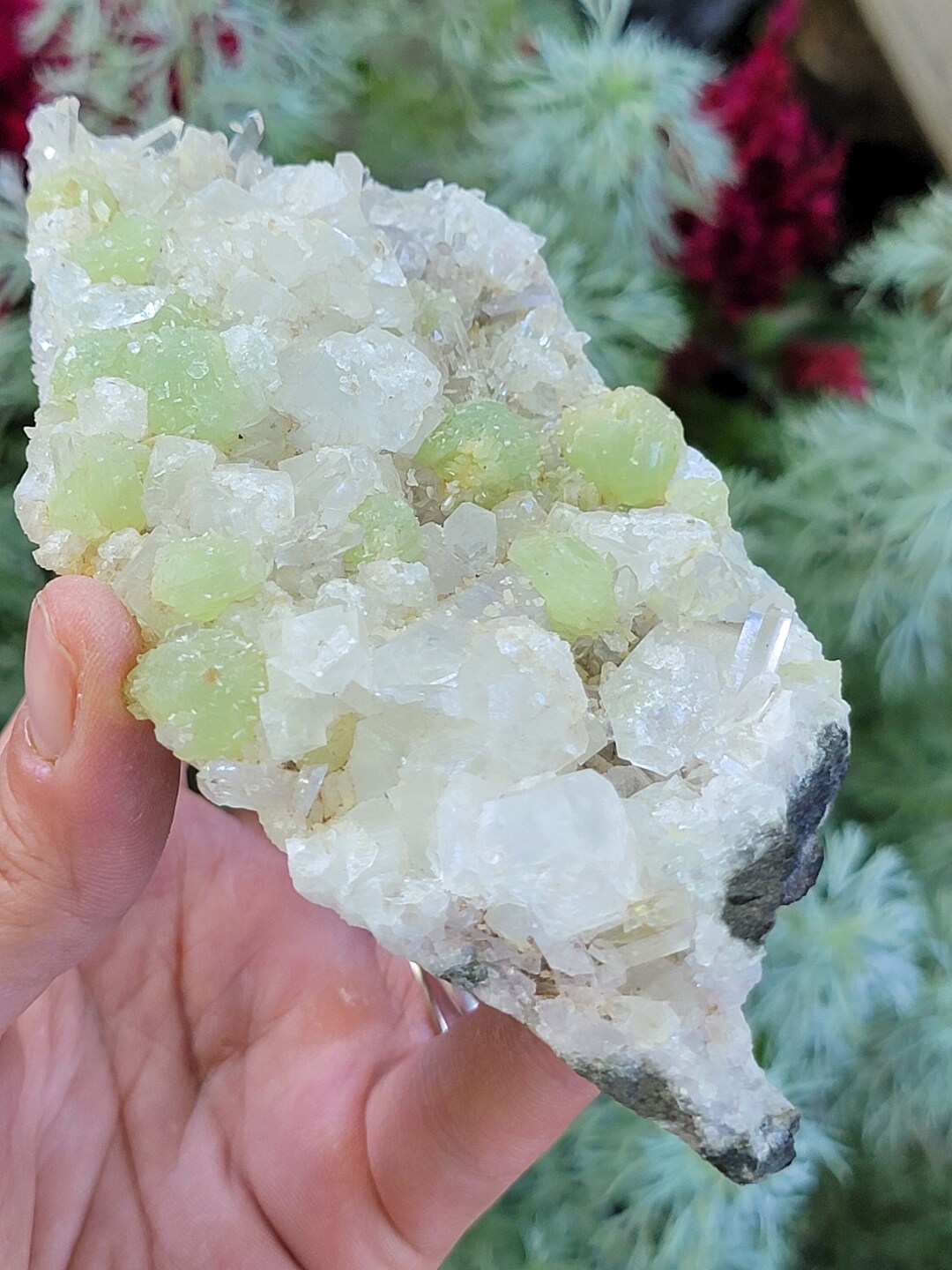Brandberg Botryoidal Gem Green Prehnite Crystals on Lemurian Quartz ...
