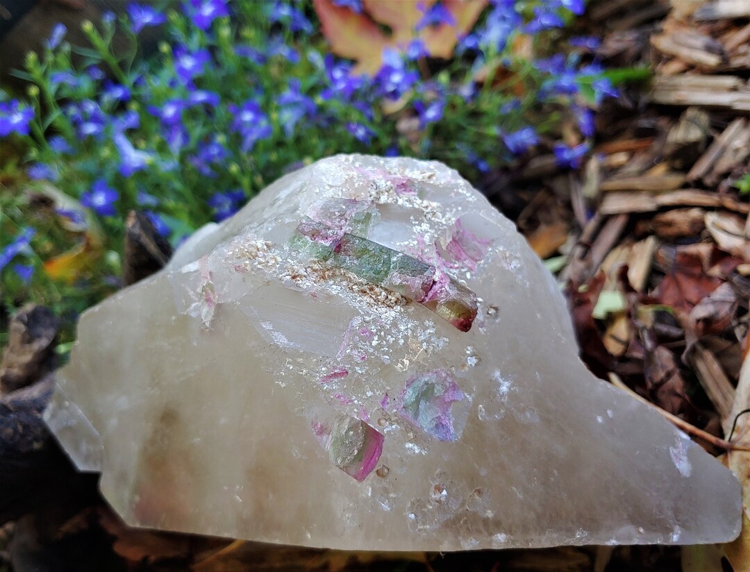 Watermelon Tourmaline Crystals in Large Citrine Crystal Matrix - Faint ...