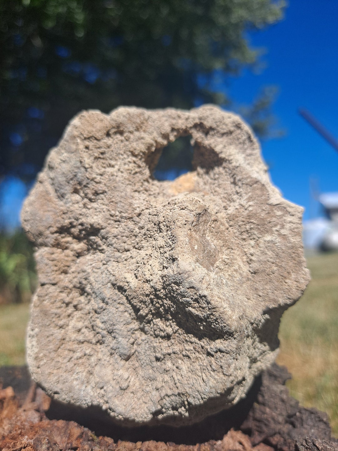 Witches Stone - Odin Stones - Fairystone - Adderstone - Hagstone ...