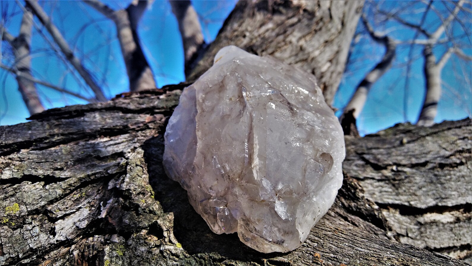 Large Glassy Elestial Quartz Crystal Display Specimen Crown - Etsy