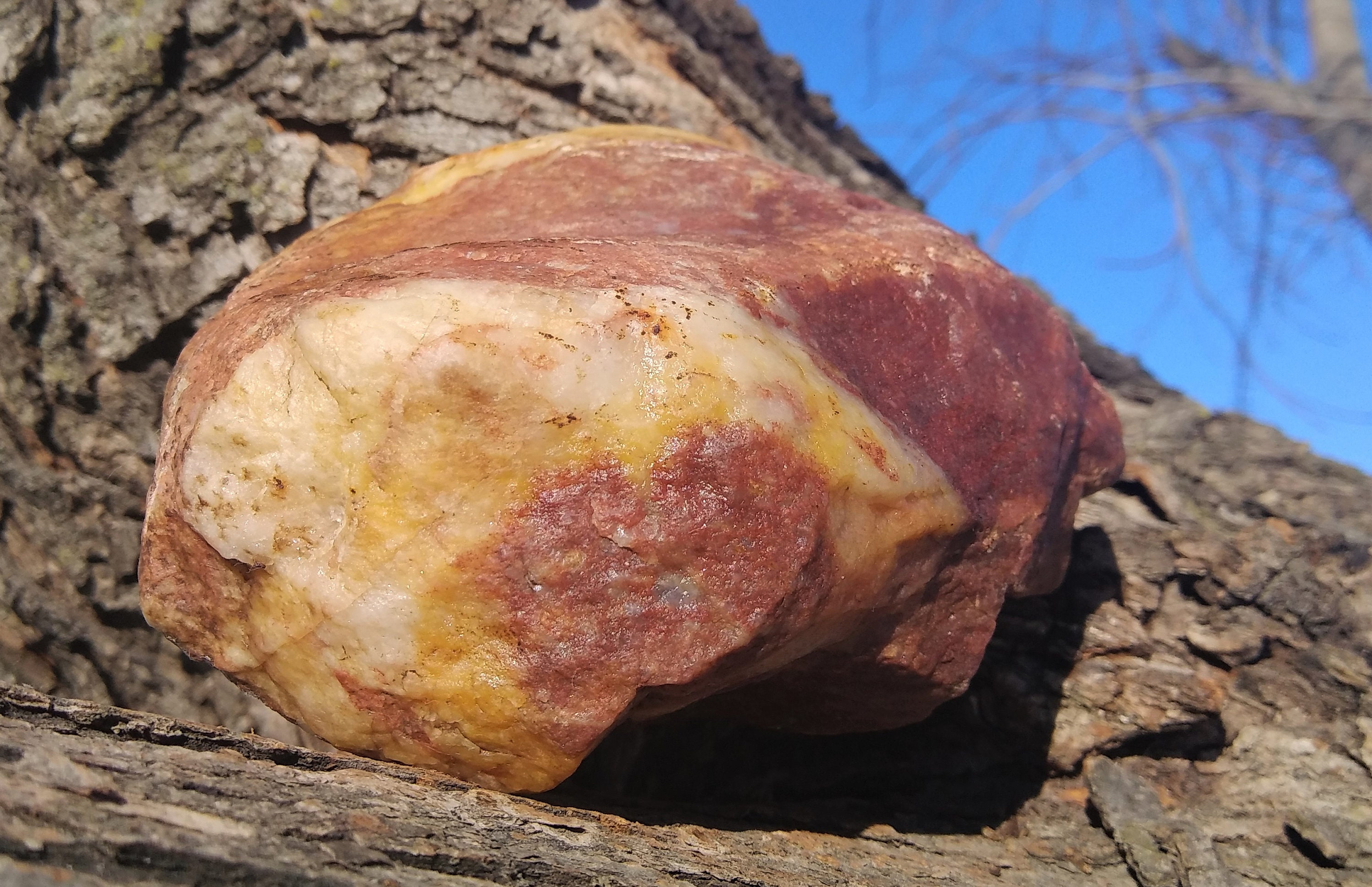 Natural Red Jasper With Quartz - Rough Crystal Display Specimen ...