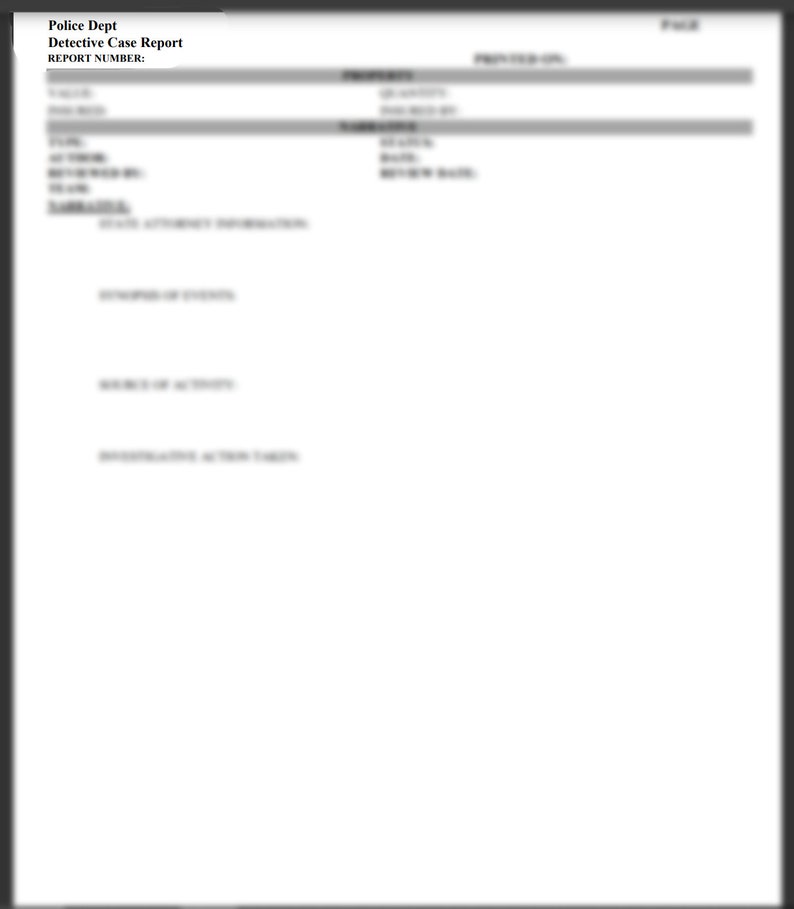 FAKE Police Reports for Film, Video, Set Decor, Props, Etc. - Etsy