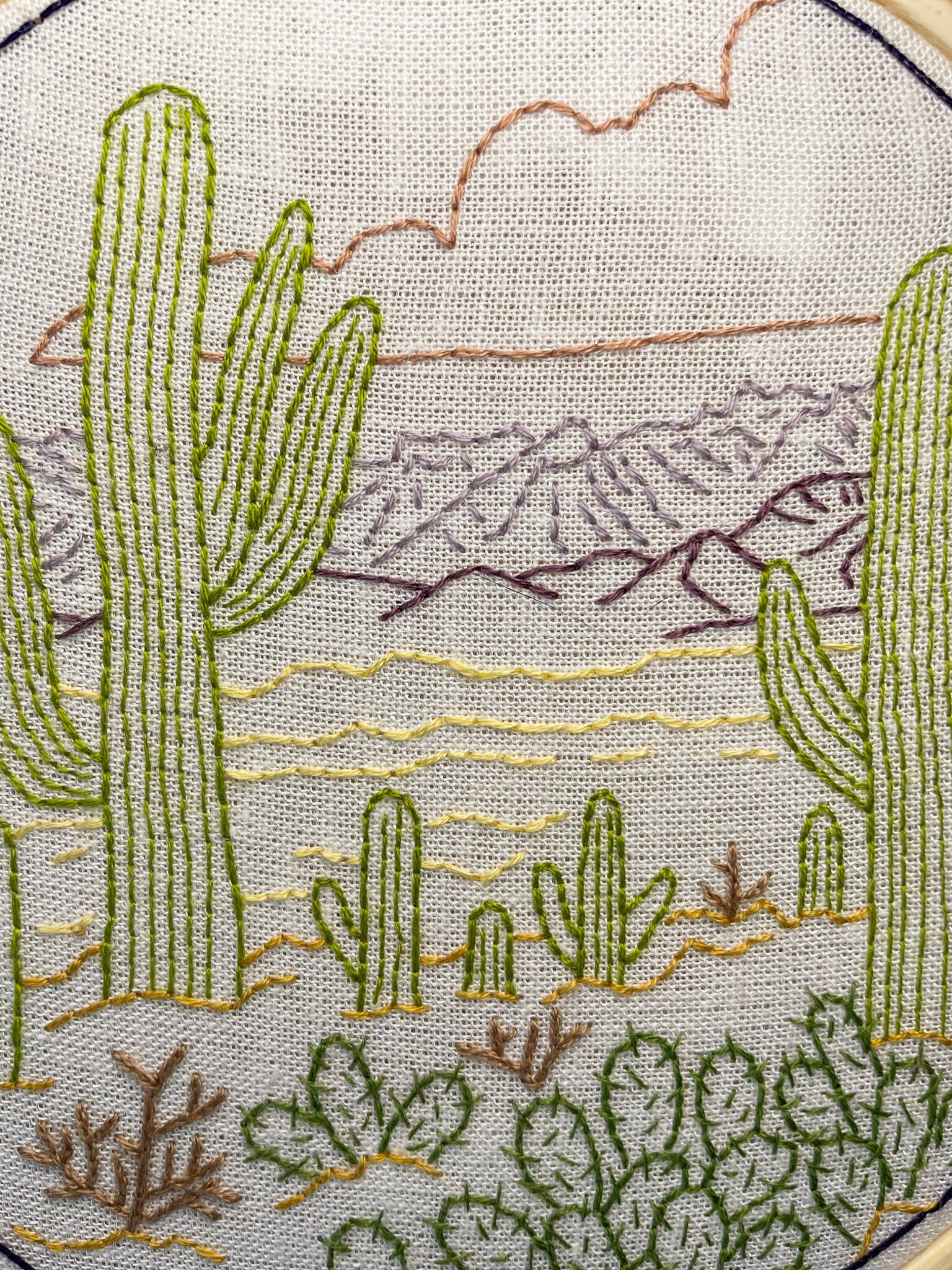 Beginner Embroidery Kit Saguaro National Park Desert Landscape ...