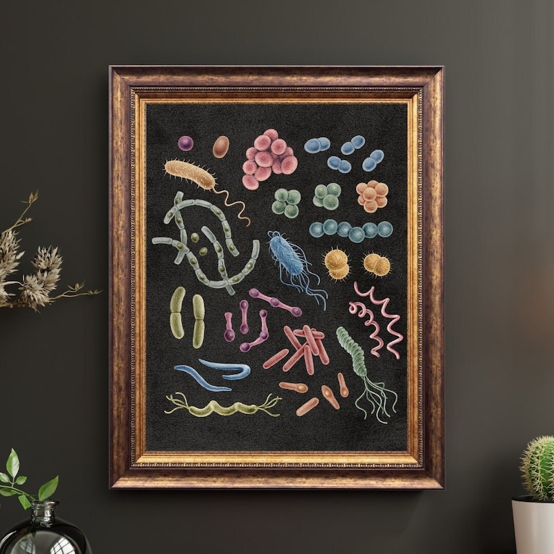 Microbiology Poster - Etsy