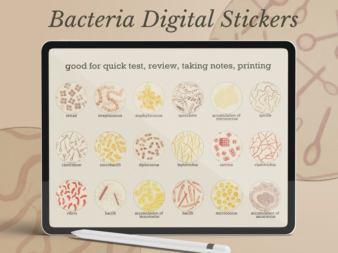 Bacteria Digital Sticker Clip Art Goodnotes Science Biology Biologist ...