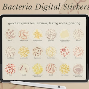 Bacteria Digital Sticker Clip Art Goodnotes Science Biology Biologist ...
