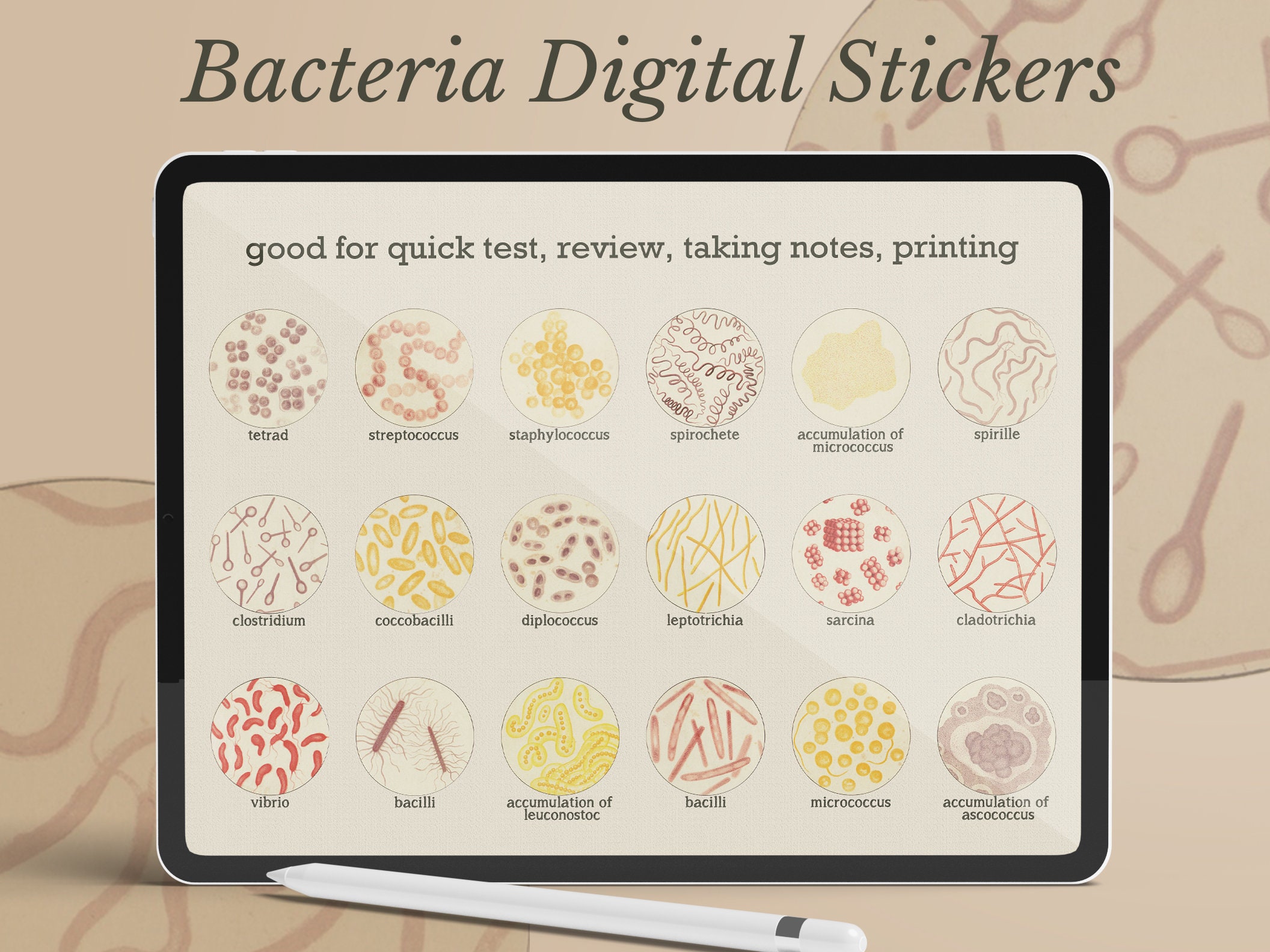 Bacteria Digital Sticker Clip Art Goodnotes Science Biology - Etsy
