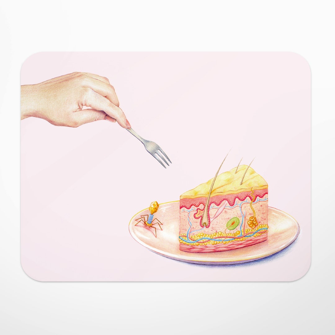 Skin Cake Anatomy Art Mouse Mat Mouse Pad Desk Pad Doctor Surgeon ...