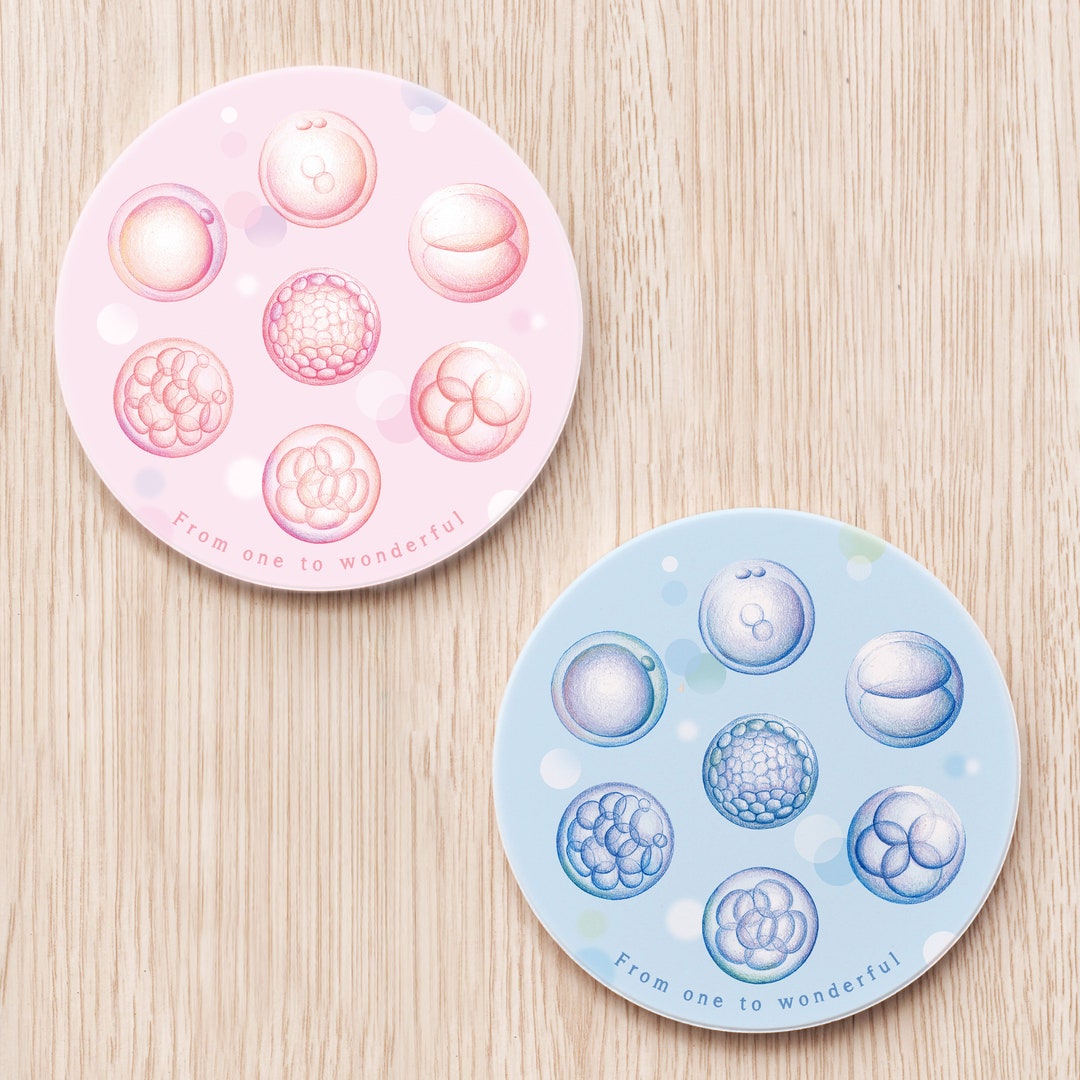 Embryo Ceramic Custom Coaster, Pregnancy Announcement IVF Fertility ...