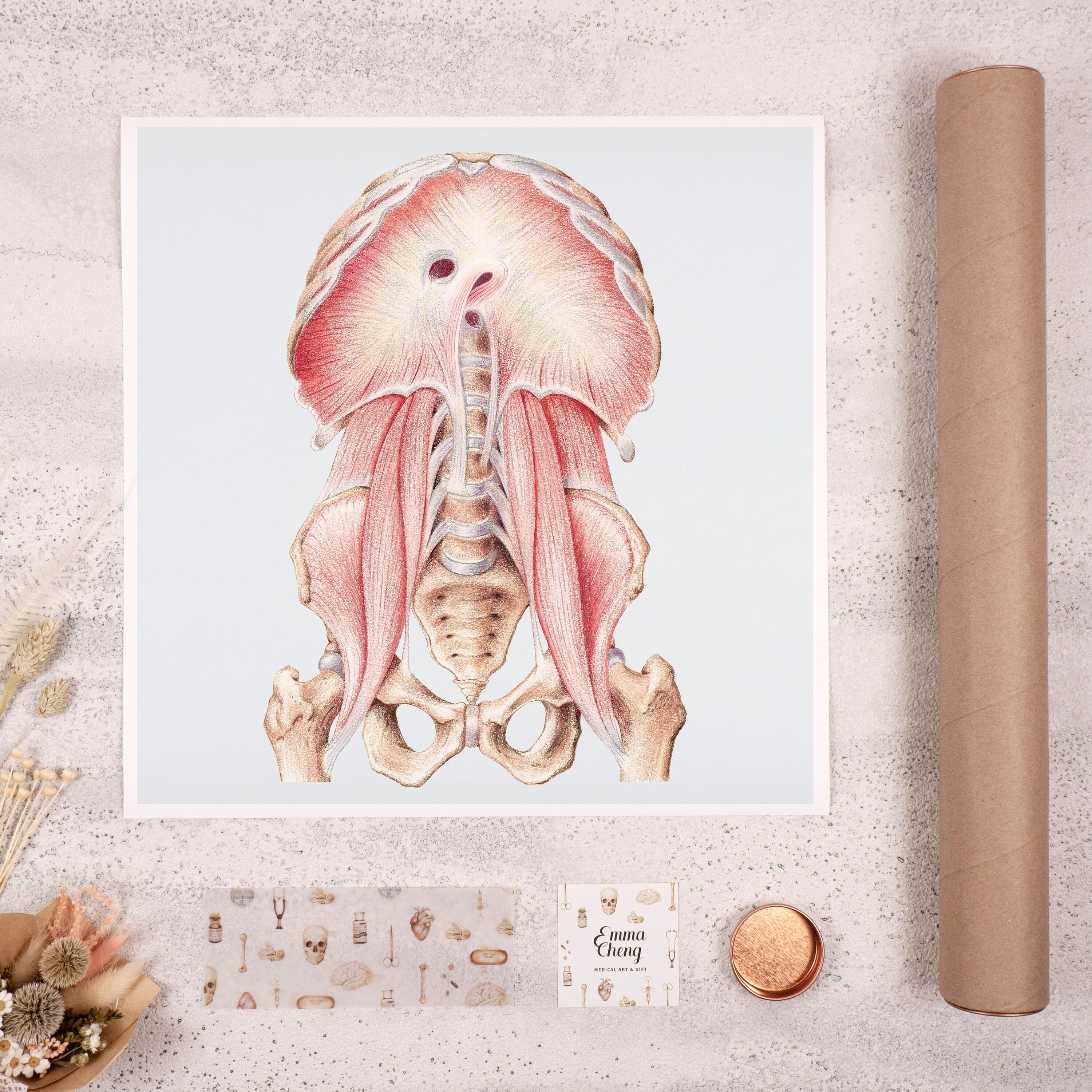 Art Print-diaphragm and Surroundings | Doctor Gift, Nurse Gift, Medical ...