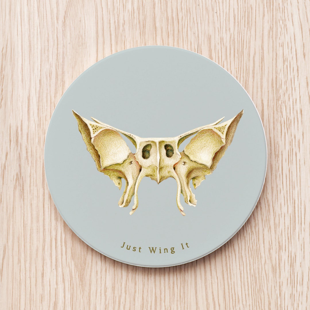 Sphenoid Bone Ceramic Coaster ( Butterfly Bone in Skull, Personalized ...