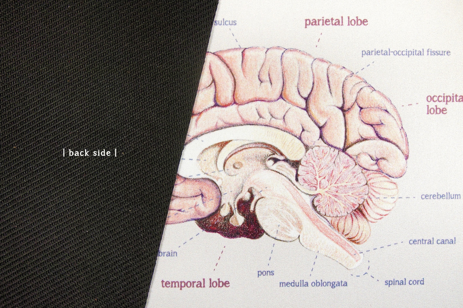 Brain Anatomy Art Mouse Mat, Mouse Pad, Gift for Doctor, Medical ...