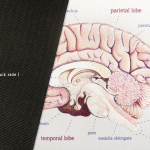 Brain Anatomy Art Mouse Mat, Mouse Pad, Gift for Doctor, Medical ...