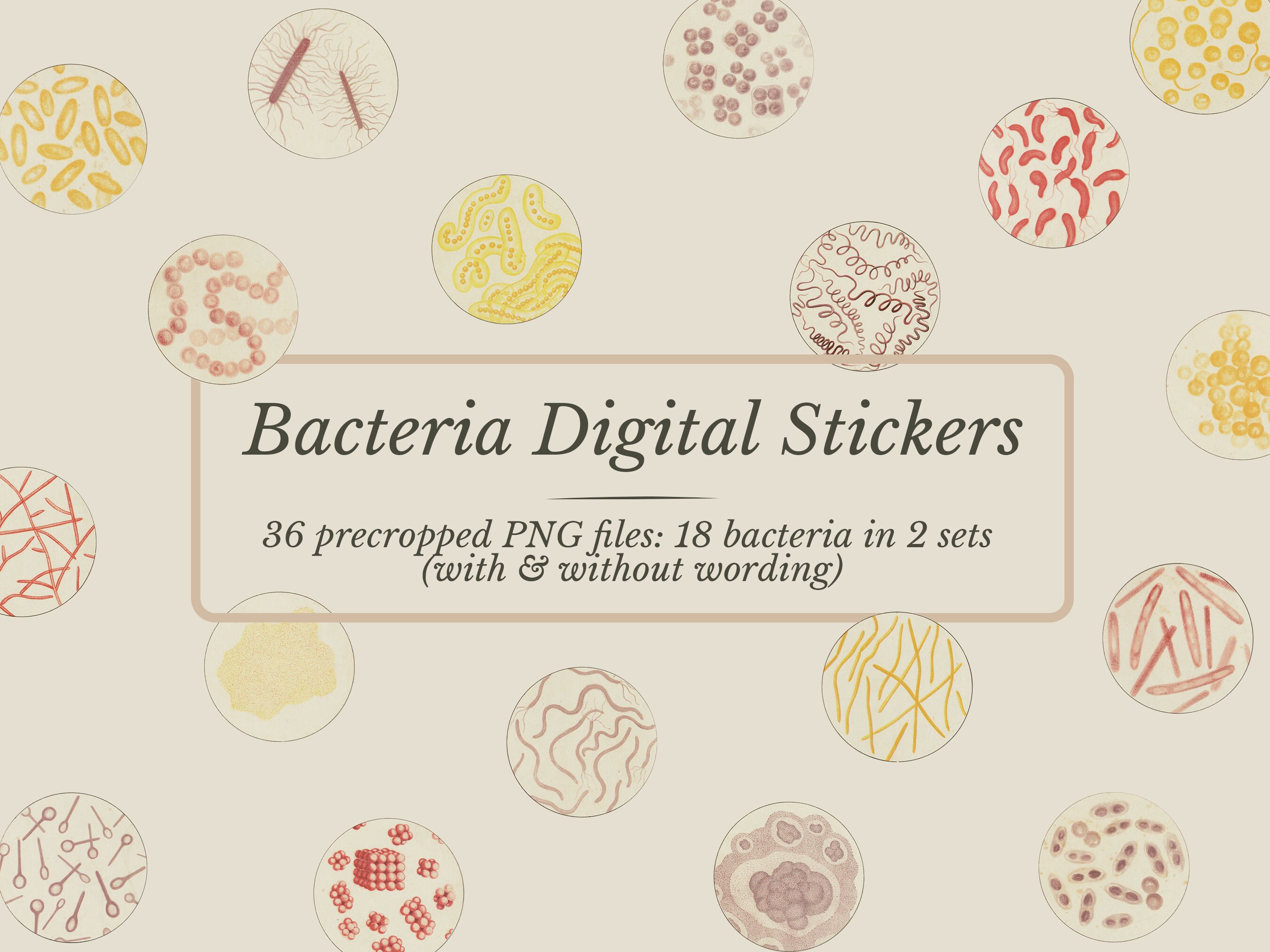 Bacteria Digital Sticker Clip Art Goodnotes Science Biology - Etsy