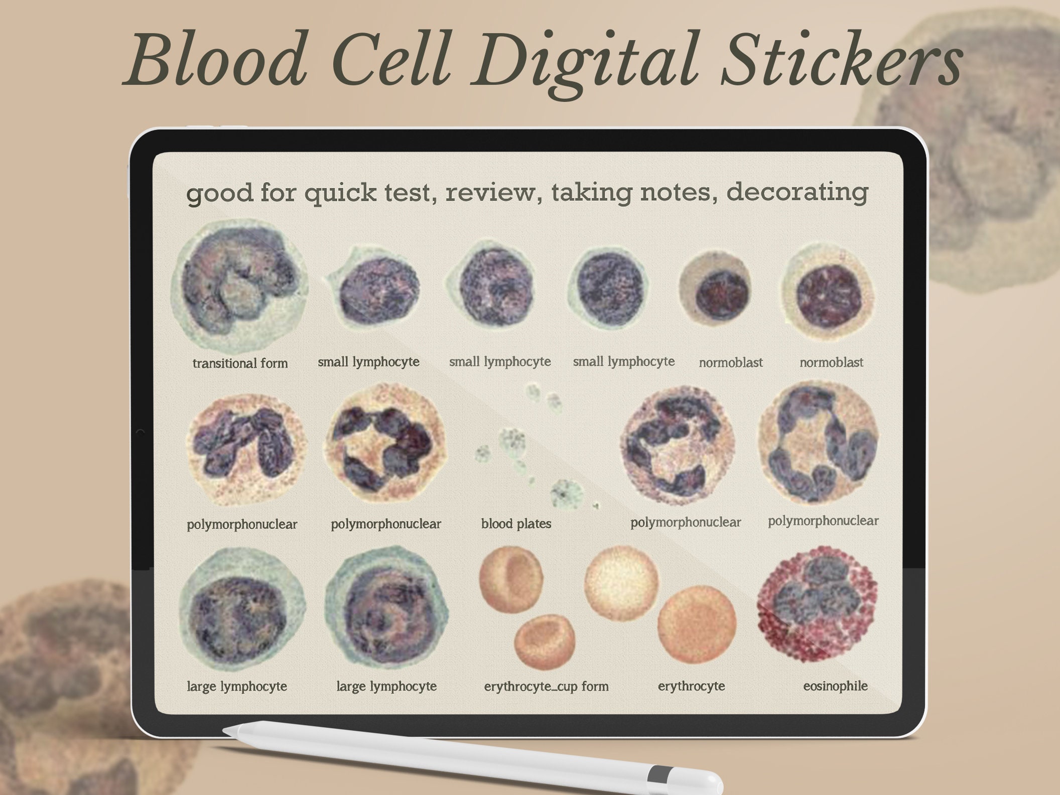 Blood Cell Digital Sticker Goodnotes Powerpoint Png File iPad ...