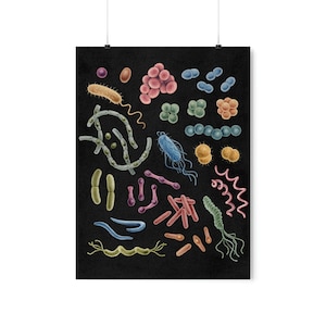Bacteria Art Print Poster Microbiology Science Bioscience Biotechnology ...