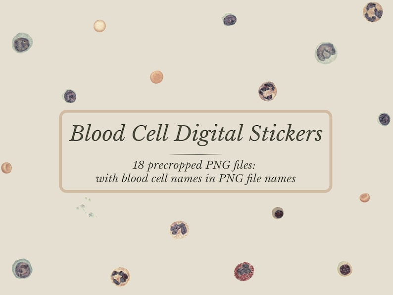 Blood Cell Digital Sticker Goodnotes Powerpoint Png File iPad ...
