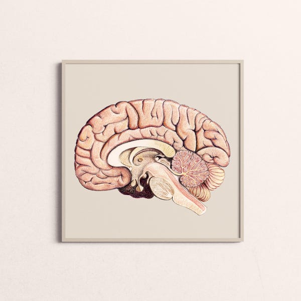 Skin Cake Wall Art Print Poster Doctor Nurse Medical Student Gift ...