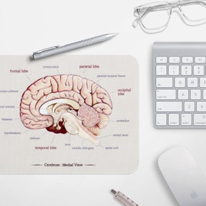 Brain Anatomy Art Mouse Mat, Mouse Pad, Gift for Doctor, Medical ...