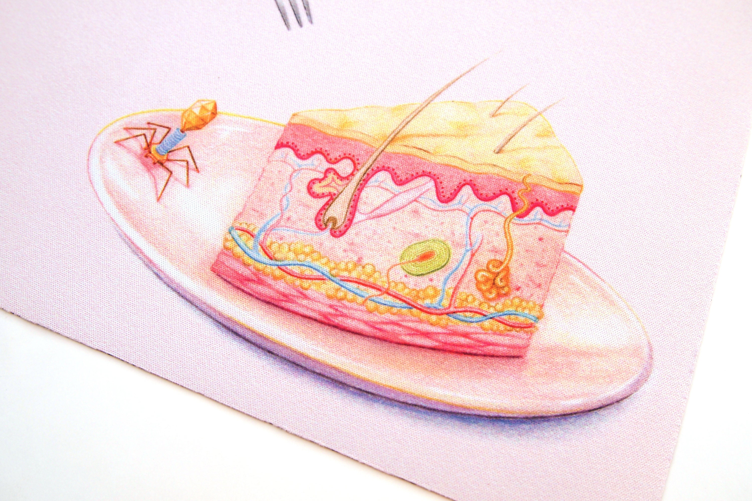 Skin Cake Anatomy Art Mouse Mat Mouse Pad Desk Pad Doctor Surgeon ...