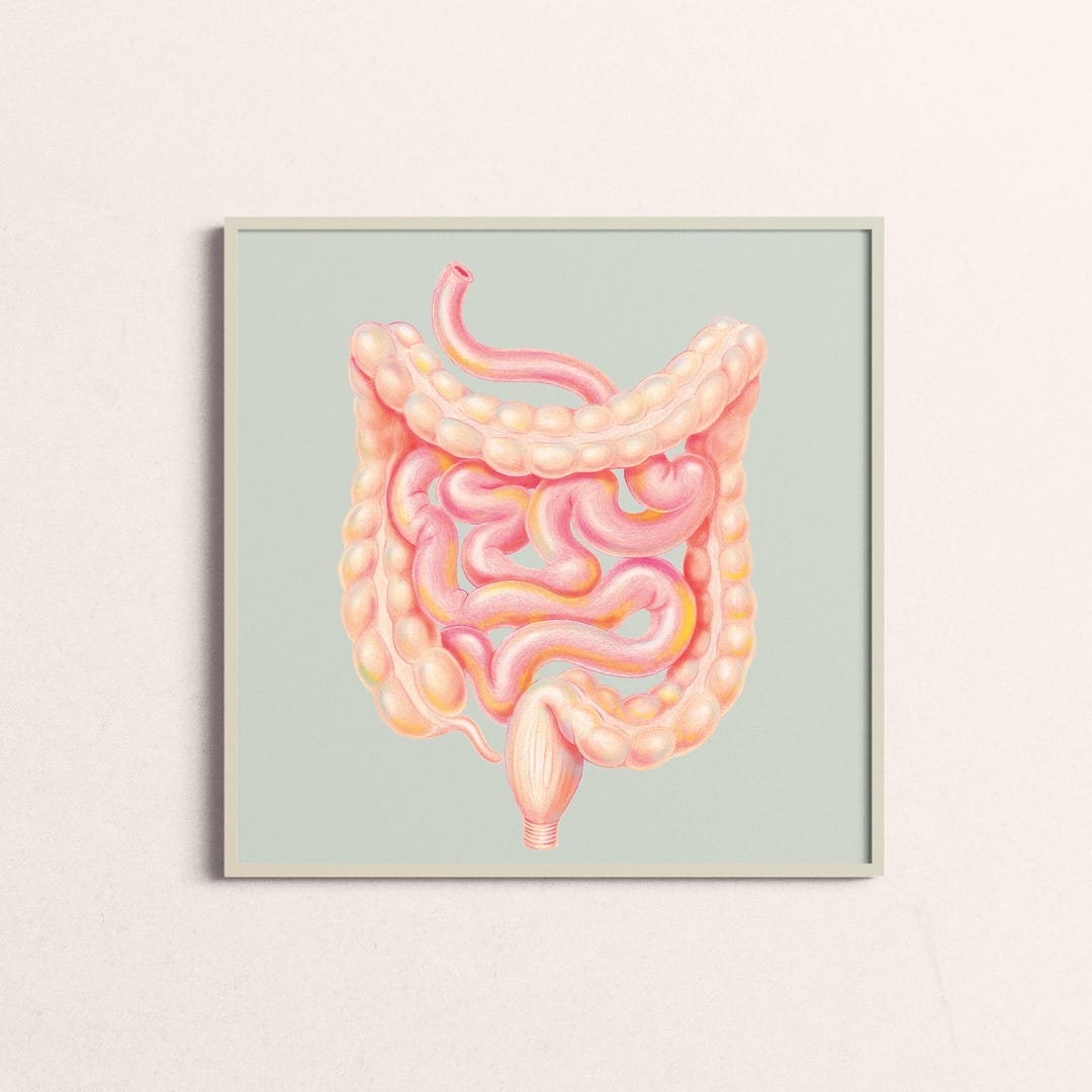Art Print-guts | Intestine, Bowel, Surgeon Doctor Gift, Nurse Gift ...